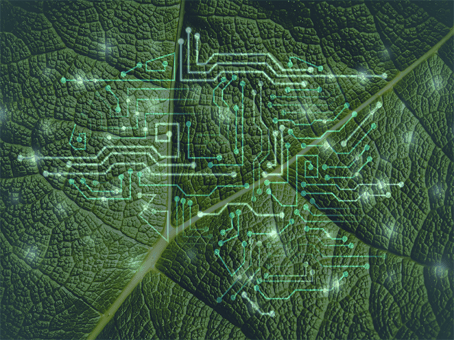 e-Taxonomy and biodiversity informatics tools and workflows - DEST ...